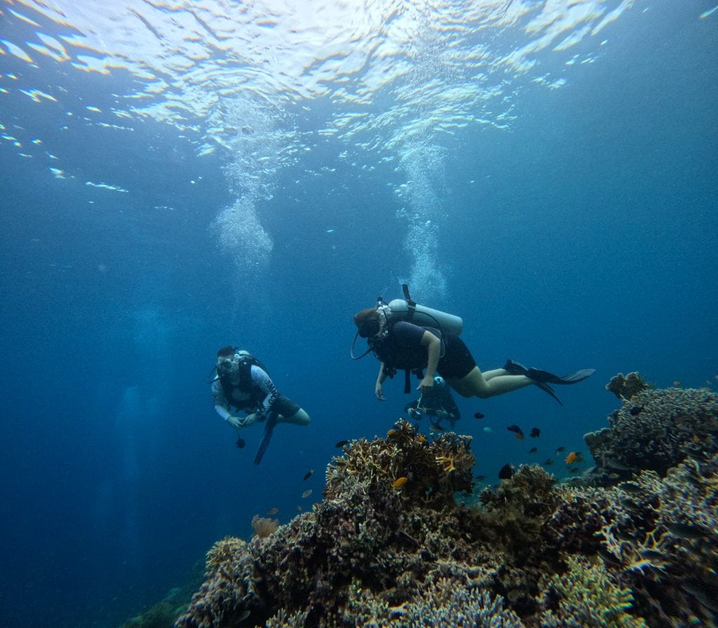 Scuba Diving in the Philippines: Best Sites, Costs, Tips & Resorts ...