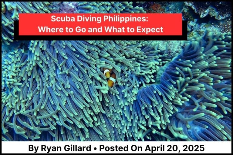 Scuba Diving in the Philippines: Best Sites, Costs, Tips & Resorts ...