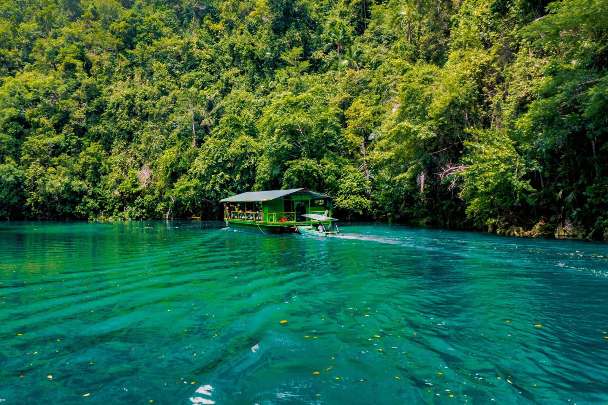 Bohol Travel Guide: Everything You Need to Know Before You Go - The ...