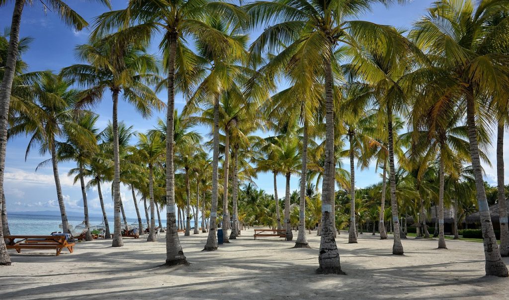 Bohol Travel Guide: Everything You Need to Know Before You Go - The ...